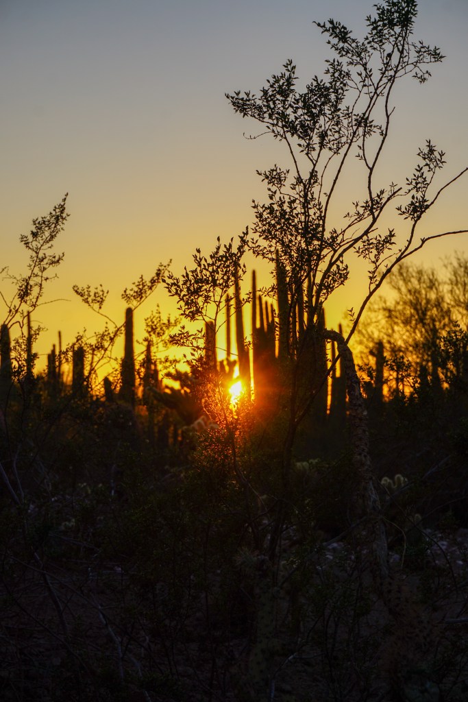 Best Spots to Watch Sunrise and Sunset in Tempe, Arizona